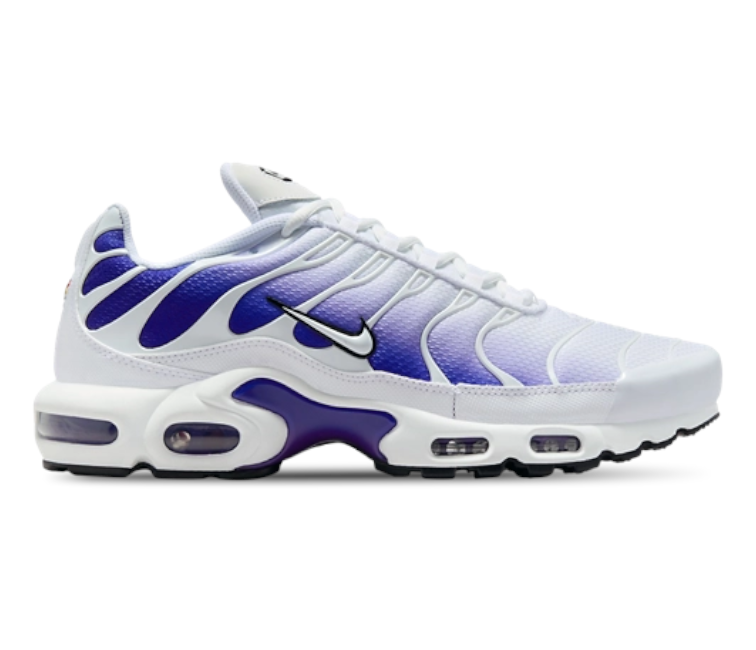 Men's Nike Air Max Plus TN (Purple Fade) – ShoeGrab