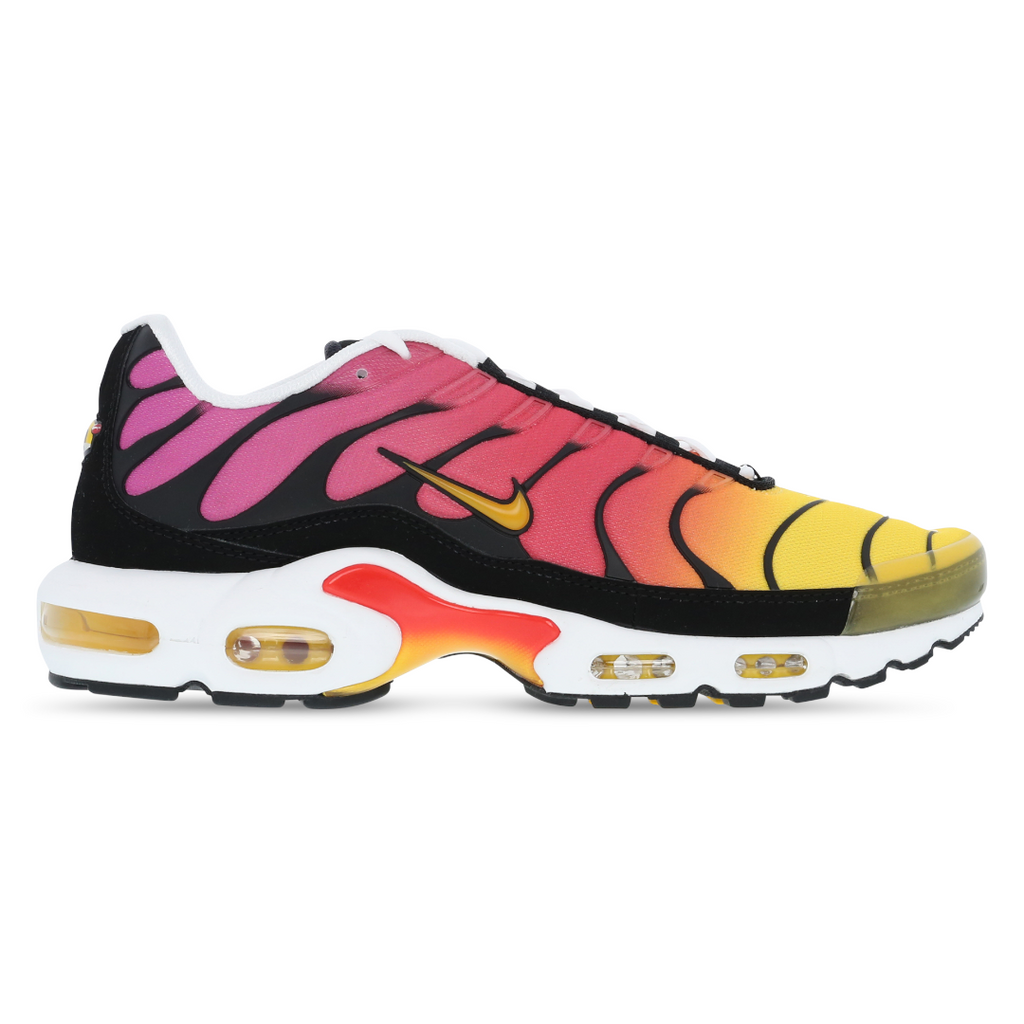 Mens Nike Air Max Plus TN Rainbow Retro – ShoeGrab
