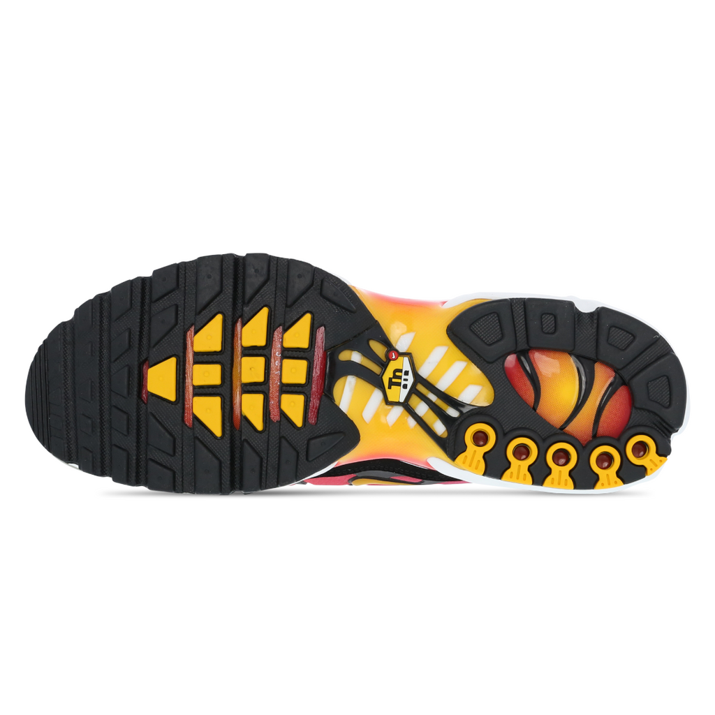 Mens Nike Air Max Plus TN Rainbow Retro – ShoeGrab